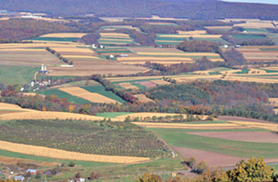 The Problem of Runoff – Pesticide Environmental Stewardship