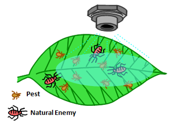 Is Insecticide Resistance to Blame? – Pesticide Environmental Stewardship