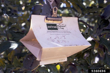 Insect monitoring traps – Pesticide Environmental Stewardship