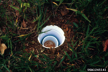 Insect monitoring traps – Pesticide Environmental Stewardship