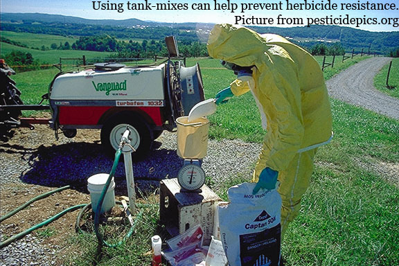 Proactive Herbicide Resistance Management – Pesticide Environmental ...