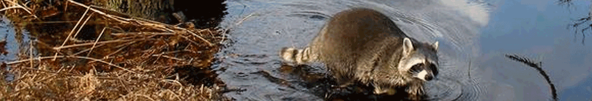 Wildlife Damage Management – Pesticide Environmental Stewardship